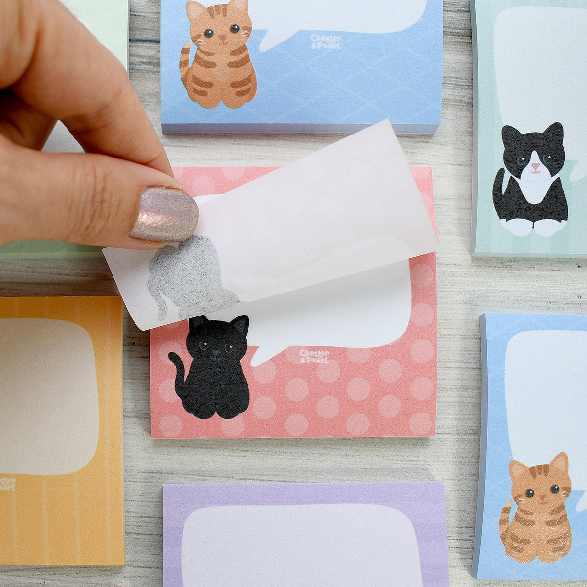 Black Cat Post-It® Notes – Chester & Pearl